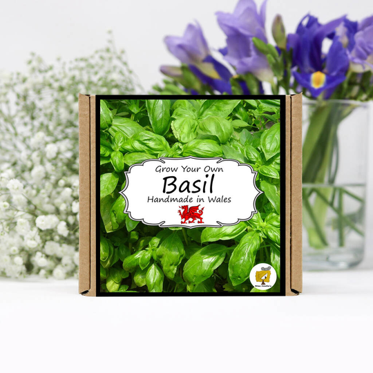 Buy Grow Your Own Herbs Kit / Basil Online