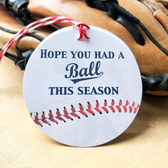 Buy Baseball Party Tags, End Of Season Gift Tag, Thank You Had A Ball ...