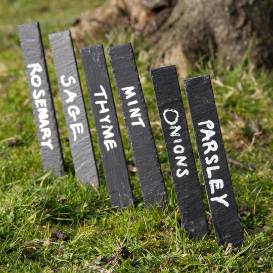 Buy Set Of 6 Slate Plant Markers | Sr34 Online