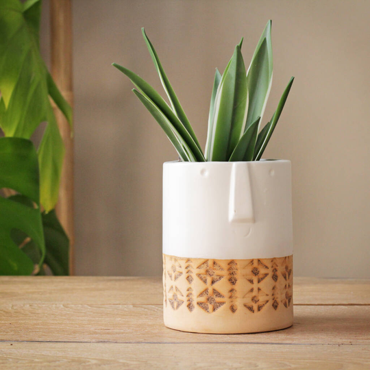 Buy Small Face Planter Online