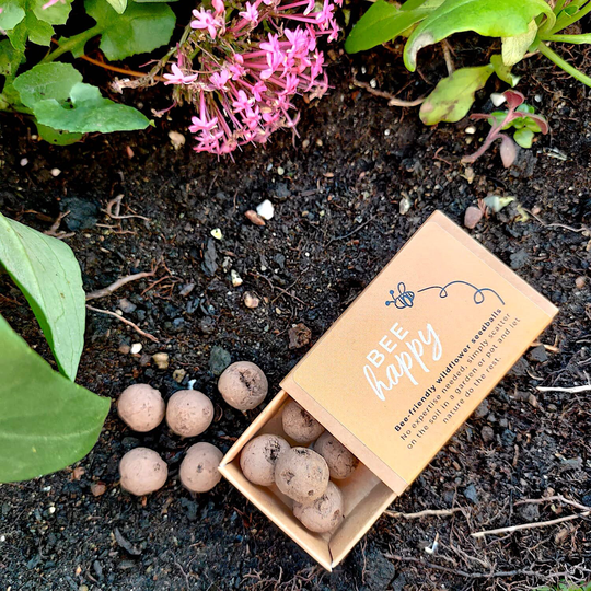 Buy Bee Happy Seed Balls Online