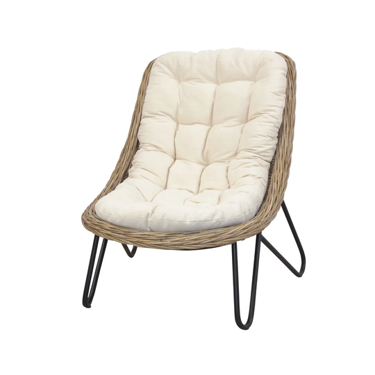 Buy Shafer Chair Bed online