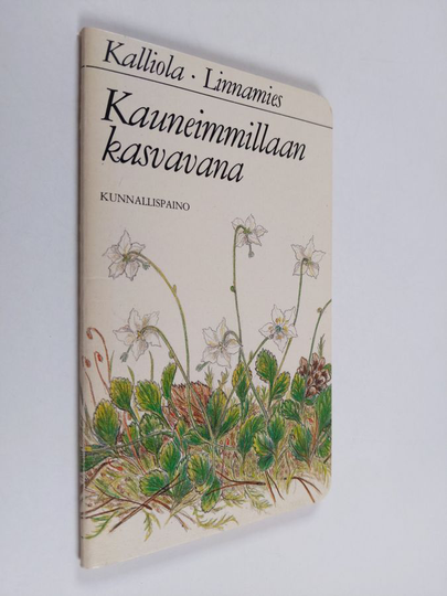 Osta Reino Kalliola : Kauneimmillaan kasvavana : luonnonkukat ...