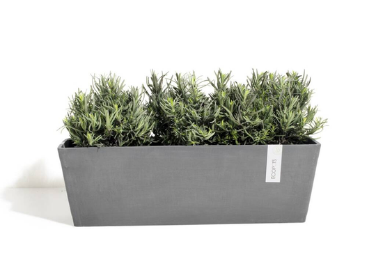 Buy Ecopots Bruges Planter Made From Recycled Plastic Online