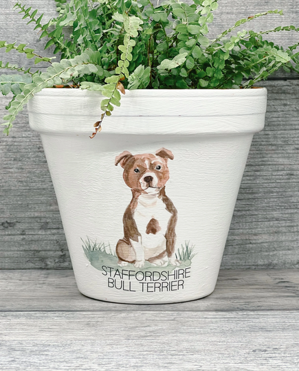 Buy Personalised Staffy Dog Plant Pot Gift. Dog Memorial Keepsake ...