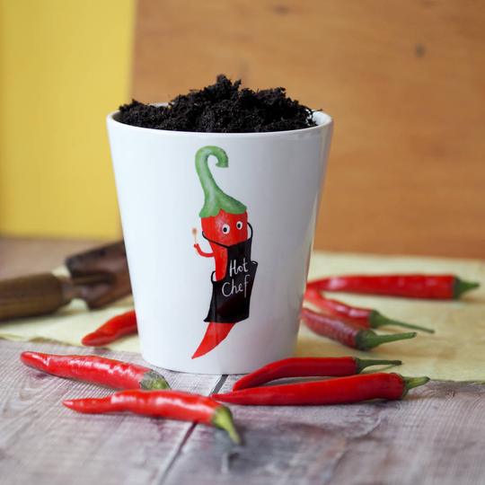 Buy Hot Chilli Chef Plant Pot With Chilli Seeds Online