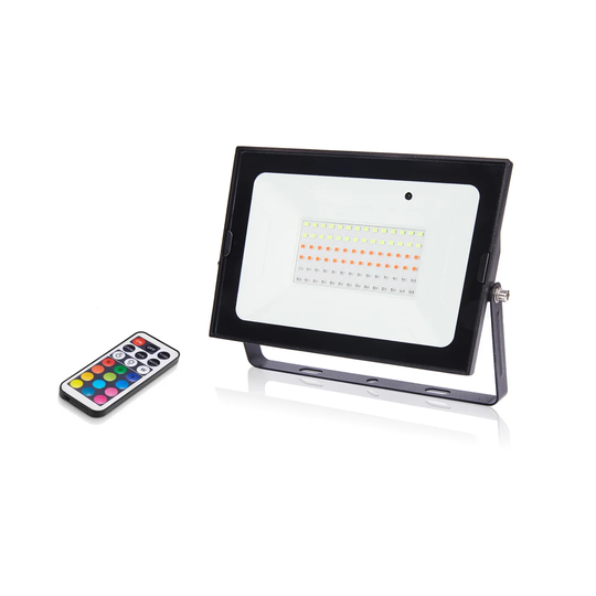 Buy Newfane Flood Light with Infrared Controller online