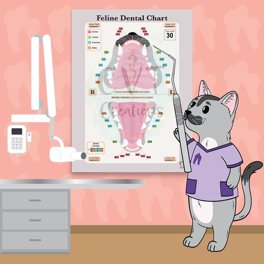 Buy Feline Dental Chart Print Online