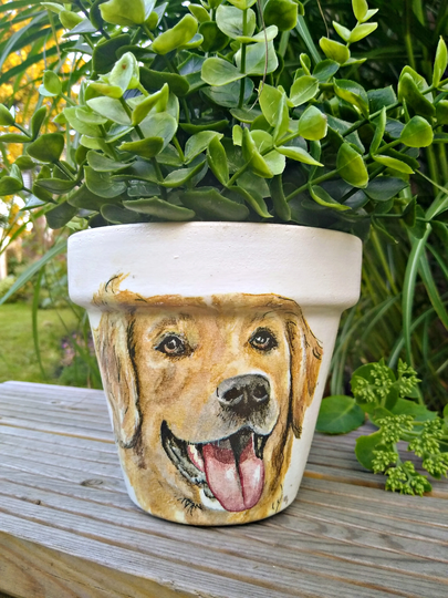 Buy Labrador Plant Pot Online