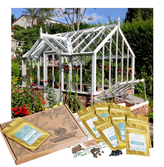 Buy Ultimate Greenhouse Vegetable Seed Gift Set Online