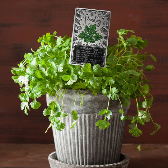 Buy Parsley Plant Marker, Garden Decor Online