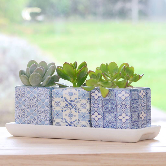 Buy Set Of Three Blue Ceramic Square Pots Online