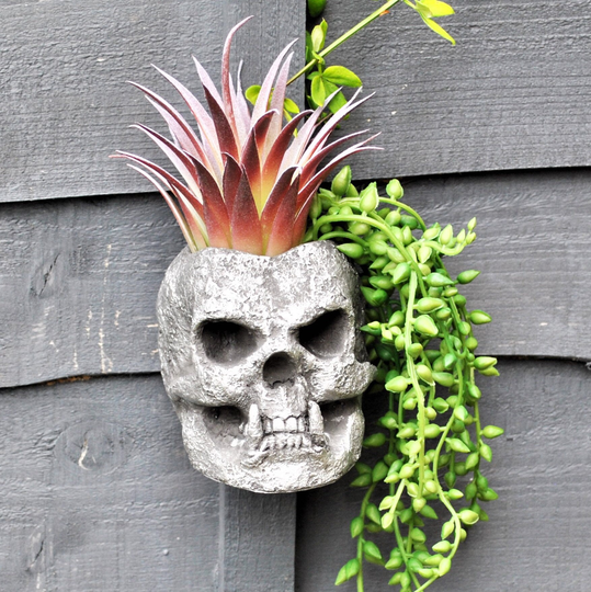 Buy Skull Planter, Gothic Plant Pot, Wall Hanging Skull, Free Standing ...