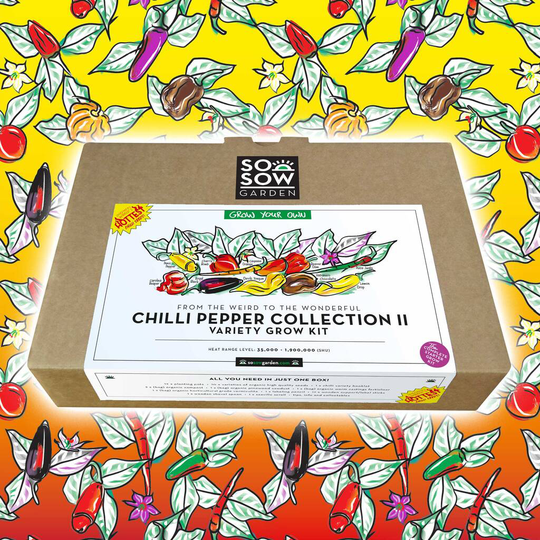 Buy Chilli Pepper Collection Two Grow Your Own Kit Online