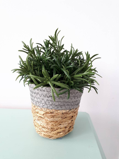 Buy Faux Rosemary Plant Online