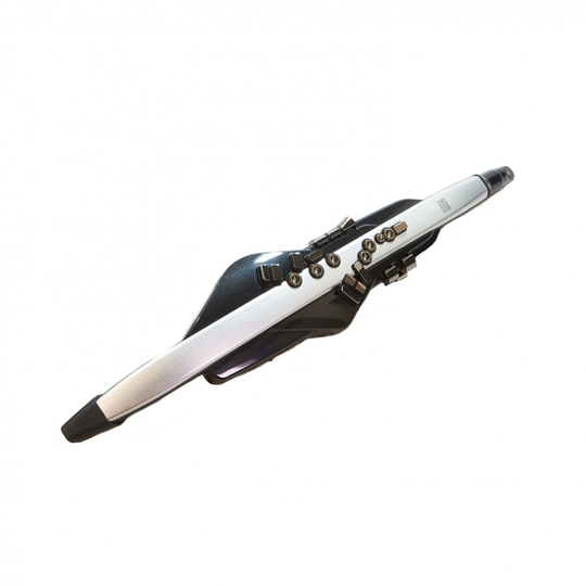 Buy Roland AE-30 Aerophone Pro Digital Wind Instrument - Ex Demo online ...
