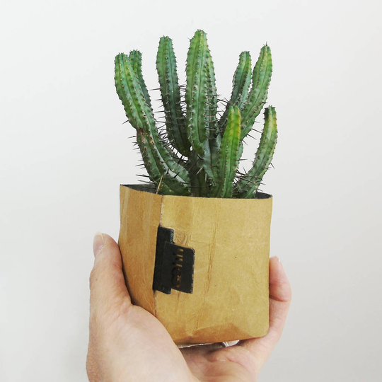 Buy Natural Creased Paper Planter Online