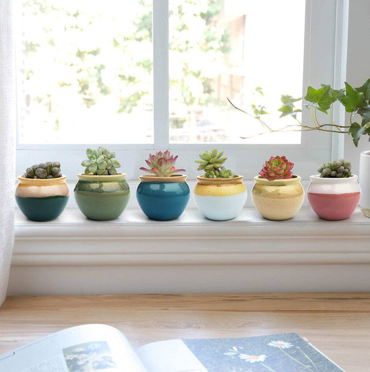 Buy Set Of Six Multicoloured Mini Ceramic Planters Online