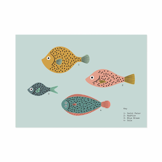 Buy A5 Fish Art Print online | Technium.co.uk