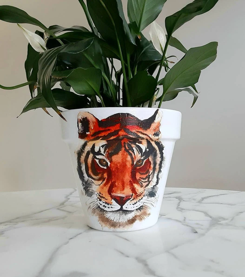 Buy Tiger Flowerpot-6 Inch, Gift, Jungle Tigers, Indoor Planter, Clay ...
