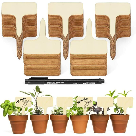 Buy Planter Labels, Vegetable Garden Labels, Seedling Label, Garden ...