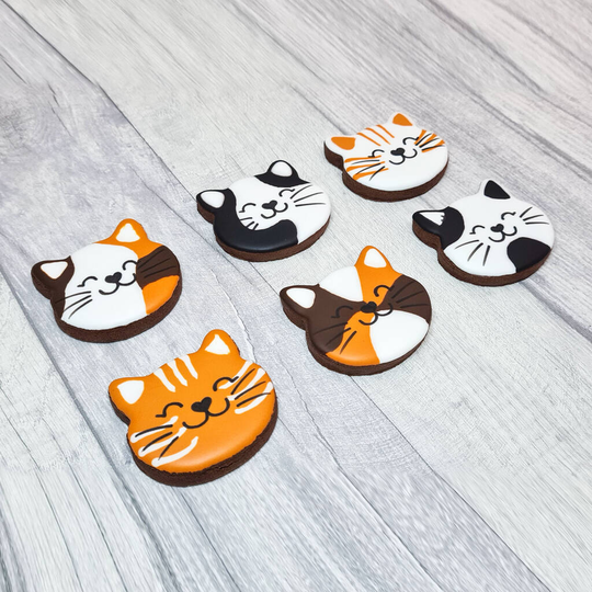 Buy Cat Lover Luxury Biscuit Gift Box, Hand Iced Biscuits Online