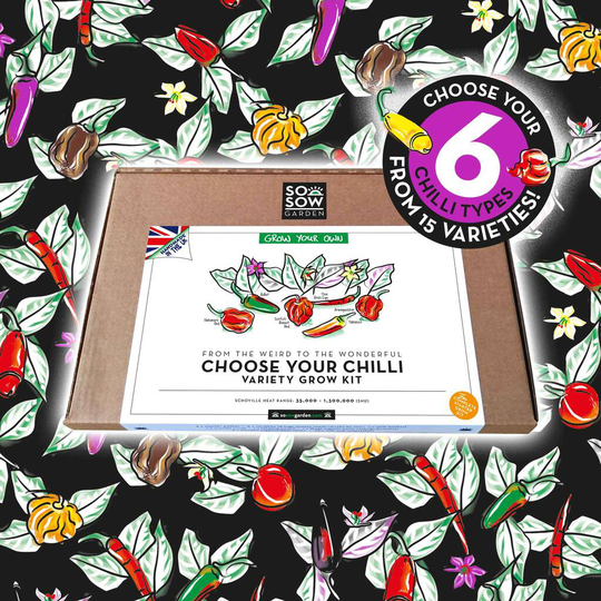 Buy Choose Your Chilli Chilli Variety Grow Kit Online