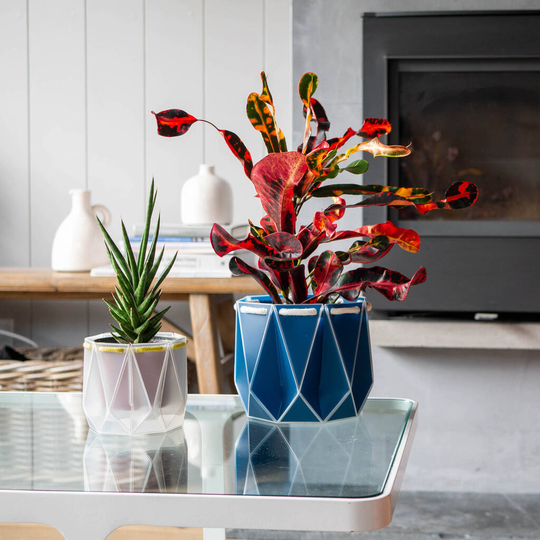Buy Two Origami Self Watering Eco Plant Pots Online