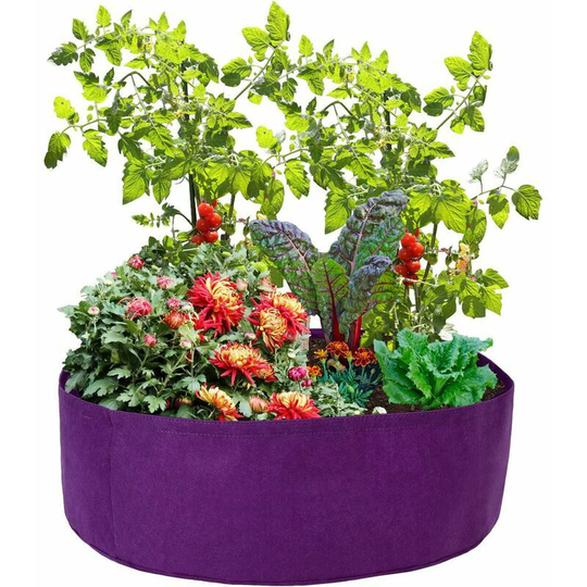 Buy Extra Large Fabric Raised Planting Bed, BR-Vie 15 Gallon Round ...