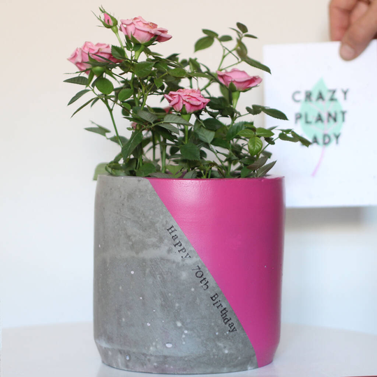 Buy Landmark Birthday Planter Online