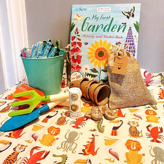 Buy Melon Seedlings Gift Set For Children Online