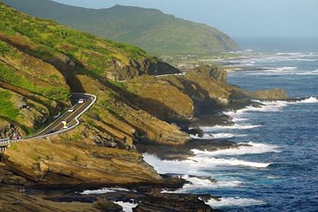 Buy Mini Circle Island Sightseeing Tour Online