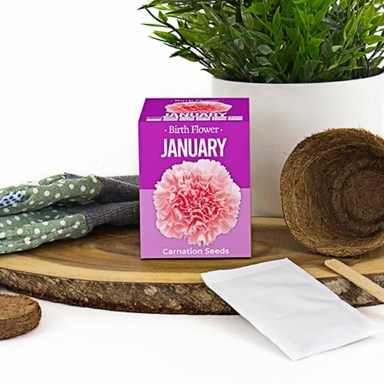 Buy Grow Your Own Birth Flower Kit Online