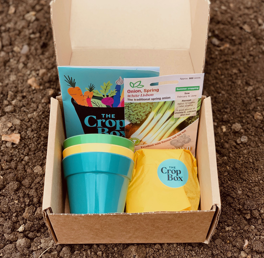 Buy Grow Your Own Spring Onions Kit For Children Online
