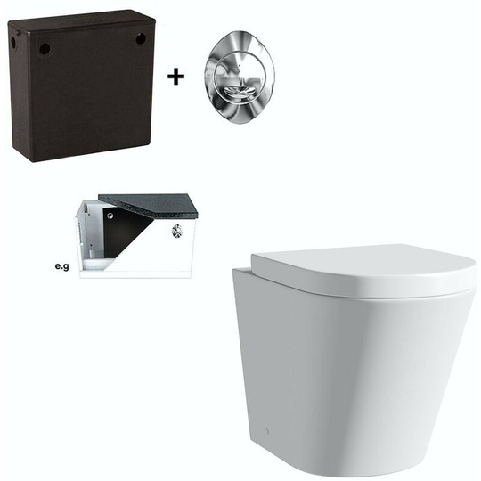 Buy Contemporary back to wall toilet with soft close seat and concealed ...