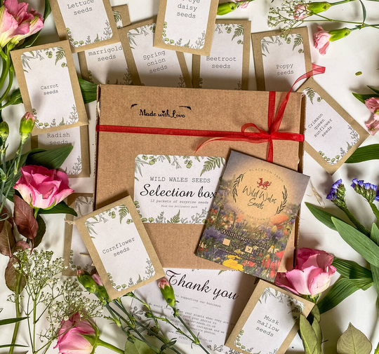 Buy Surprise Wildflower Seed Selection Box Online