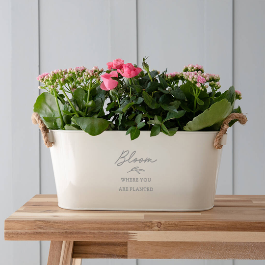 Buy Engraved 'Bloom Where You Are Planted' Planter Online