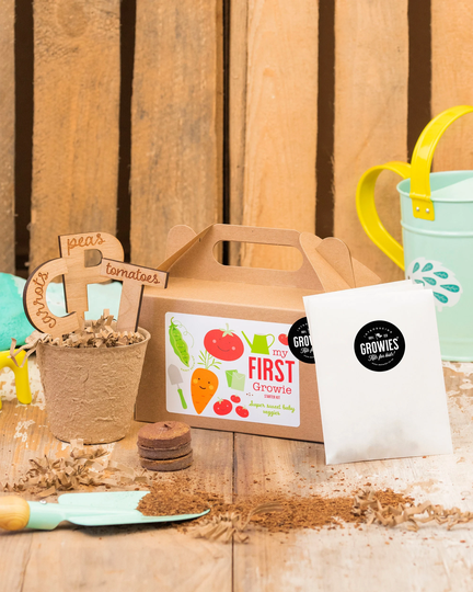 Buy Kids My First Growie Veggie Seed Starter Kit, Grow Your Own ...