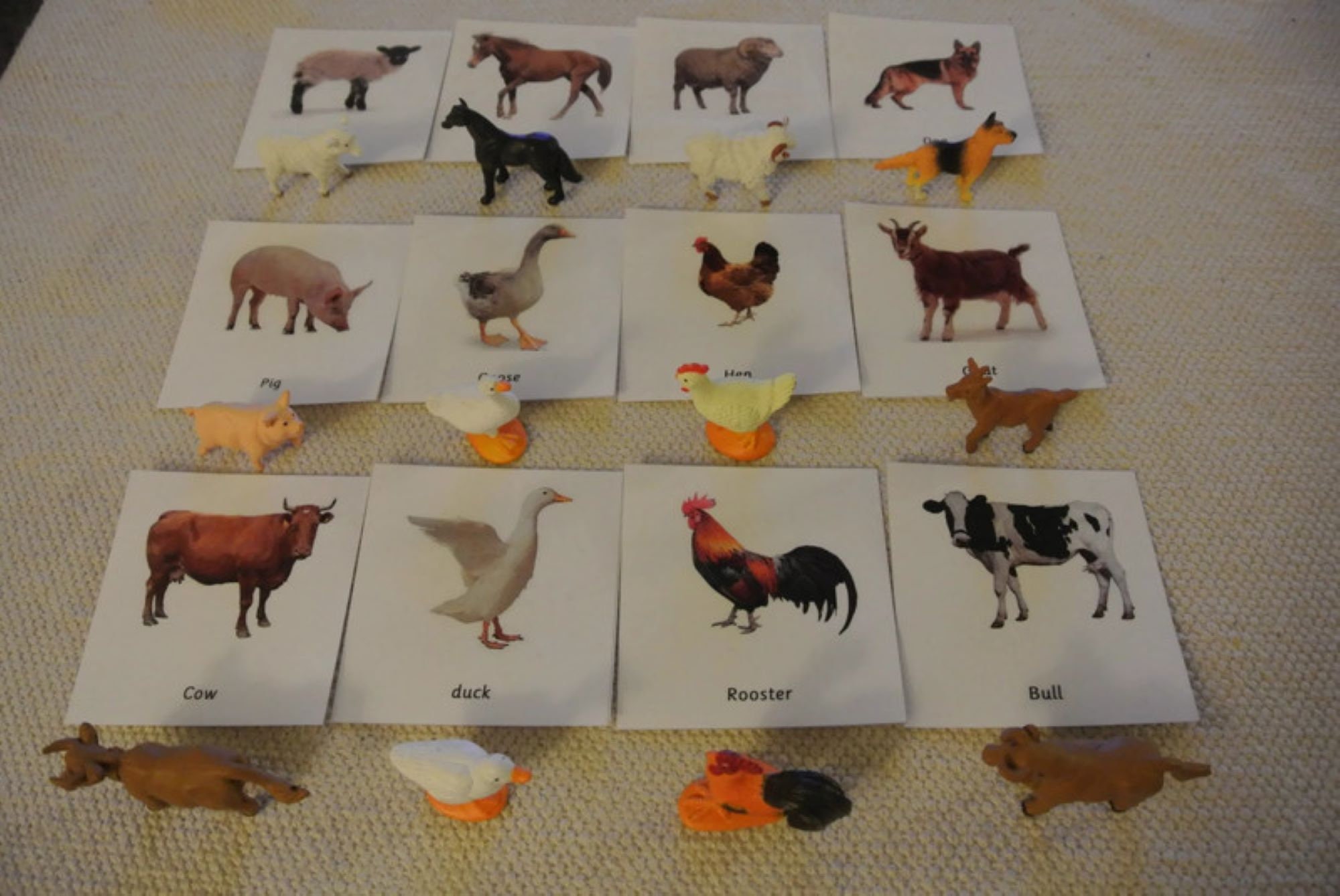Buy Montessori Common Farm Animals 3 Parts Cards With Miniatures online
