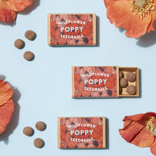 Buy Wildflower Poppy Seed Boxes Online