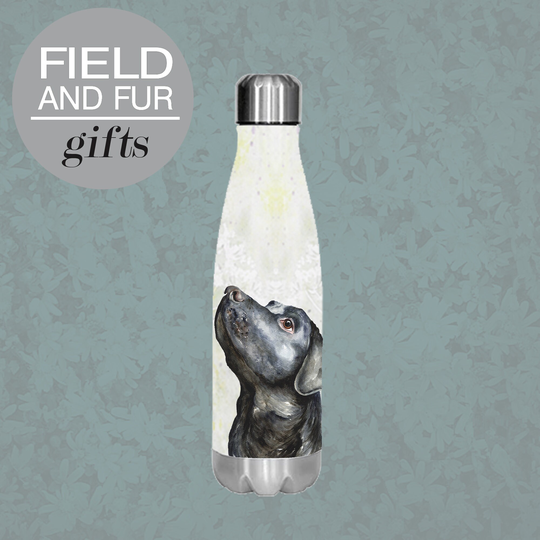 Buy Labrador, Insulated Water Bottle, Keeps Your Drink Hot Or Cold Online