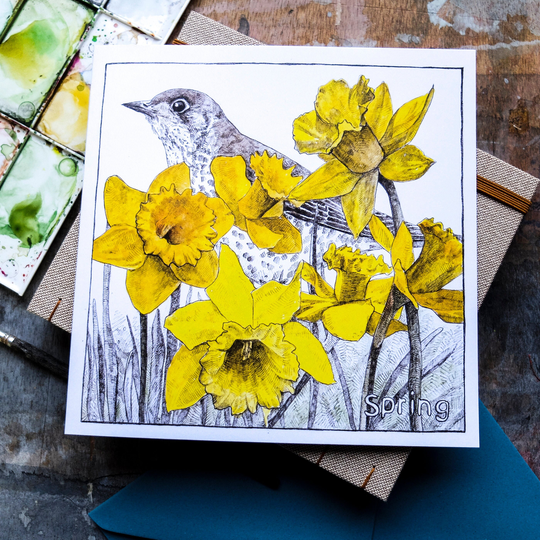 Buy Spring Card - The Mistle Thrush in The Yellow Blank Inside, Seasons ...