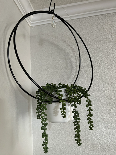 Buy Double Rounder Hanging Planter Online