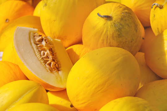 Buy Batch Of 50 Canary 2 Yellow Melon Seeds Online