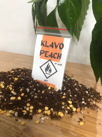 Buy Klavo Peach Chilli Seeds Online