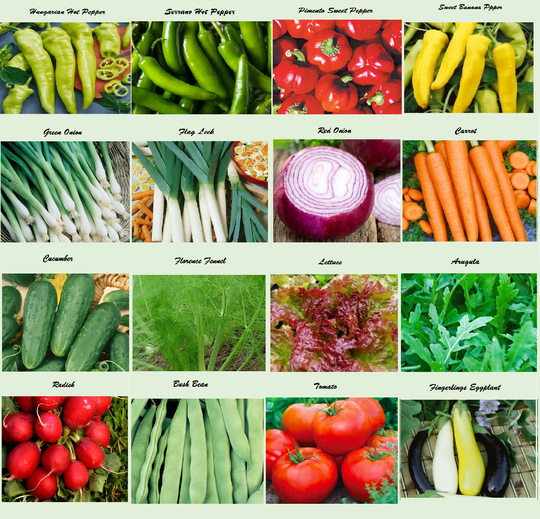Buy Set Of 16 Assorted Organic Vegetable Seeds & Herb Varieties Create ...