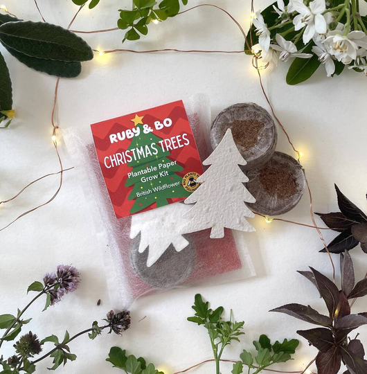 Buy Christmas Tree Plantable Paper Grow Kit Online