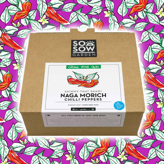 Buy Naga Morich Chilli Pepper Grow Your Own Kit Online