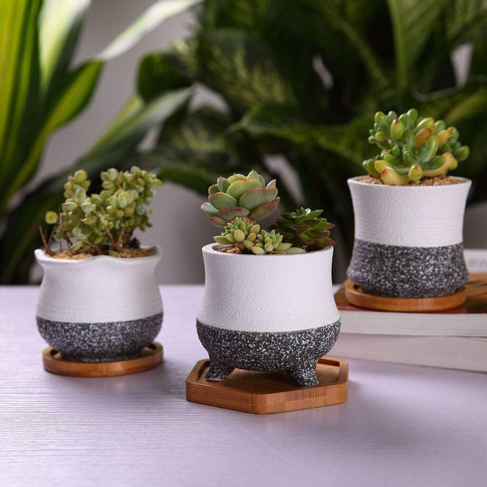 Buy Set Of Three Mini Planters With Bamboo Trays Online