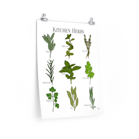 Buy Kitchen Herbs Identification Poster Online